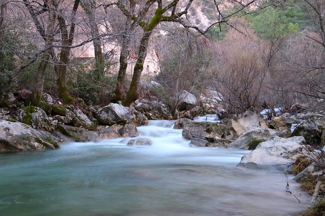 Body Of Water Nature River - Free photo on Pixabay - Pixabay