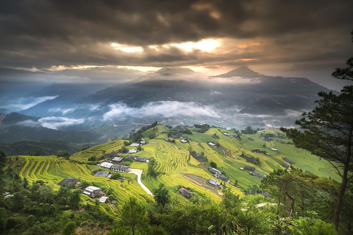 600+ Free Sus & Nature Images