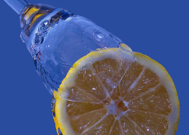 Drink Citrus Fruit Disc - Free photo on Pixabay - Pixabay