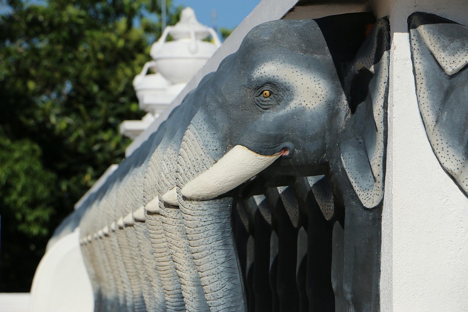 Animal Elefante Pagoda - Foto gratis en Pixabay - Pixabay