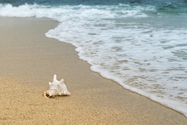 100 000 Free Beach Sand Beach Images Pixabay 100 000 Free Beach Sand Beach Images Pixabay
