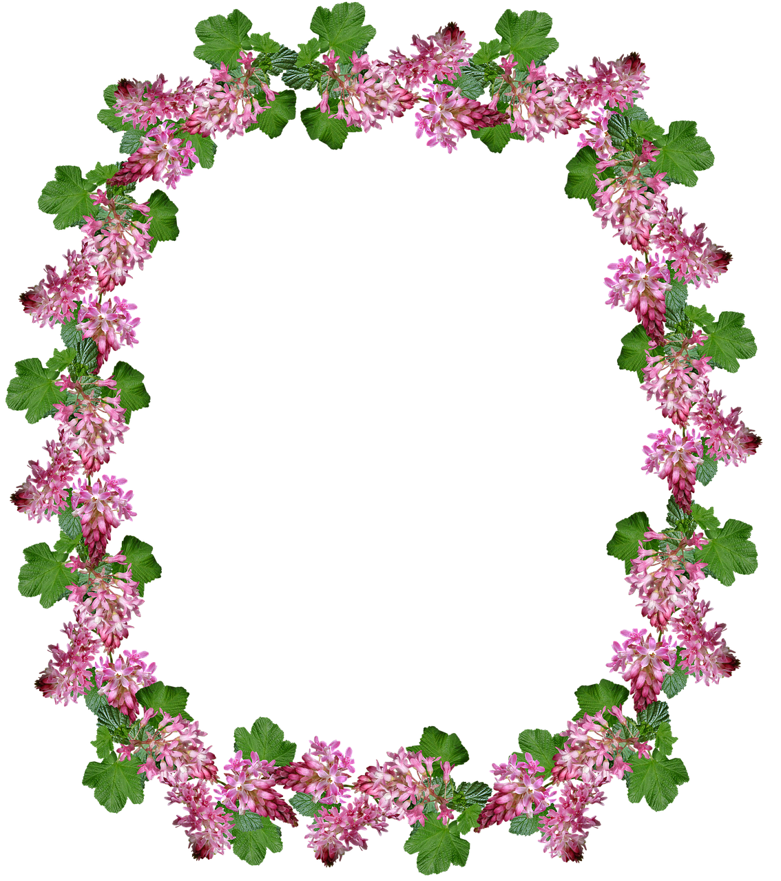 Frame Border Flowering Currant - Free photo on Pixabay