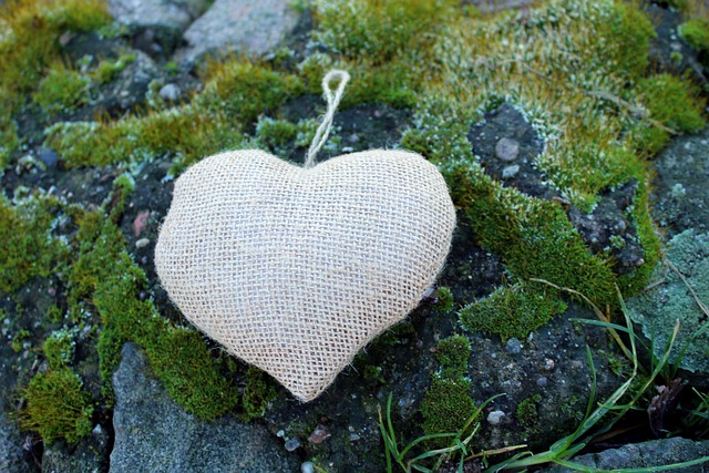 Heart Nature Stone - Free photo on Pixabay