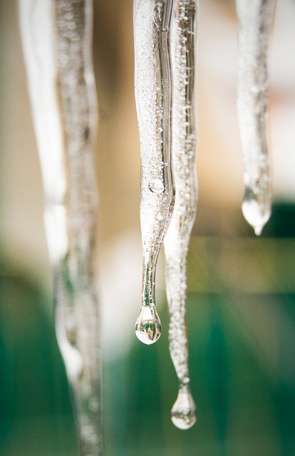 Agua Perla Hielo - Foto gratis en Pixabay - Pixabay