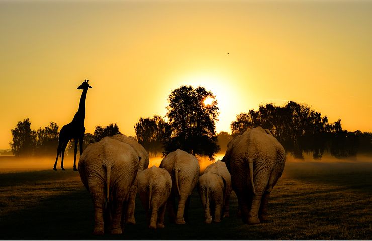70+ Free African Landscape & Landscape Photos - Pixabay