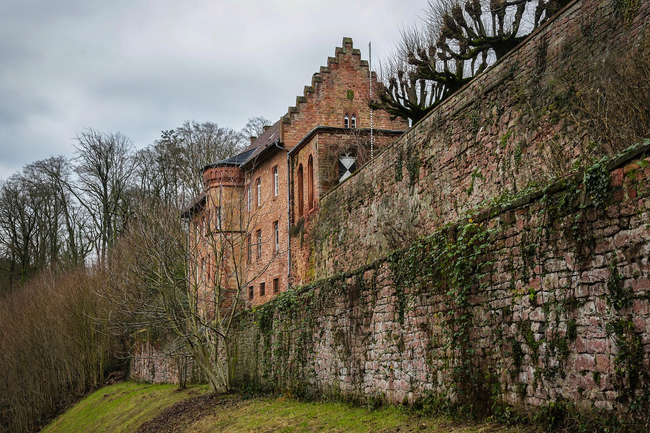 Neckarsteinach Slott Medium - Gratis foto på Pixabay - Pixabay