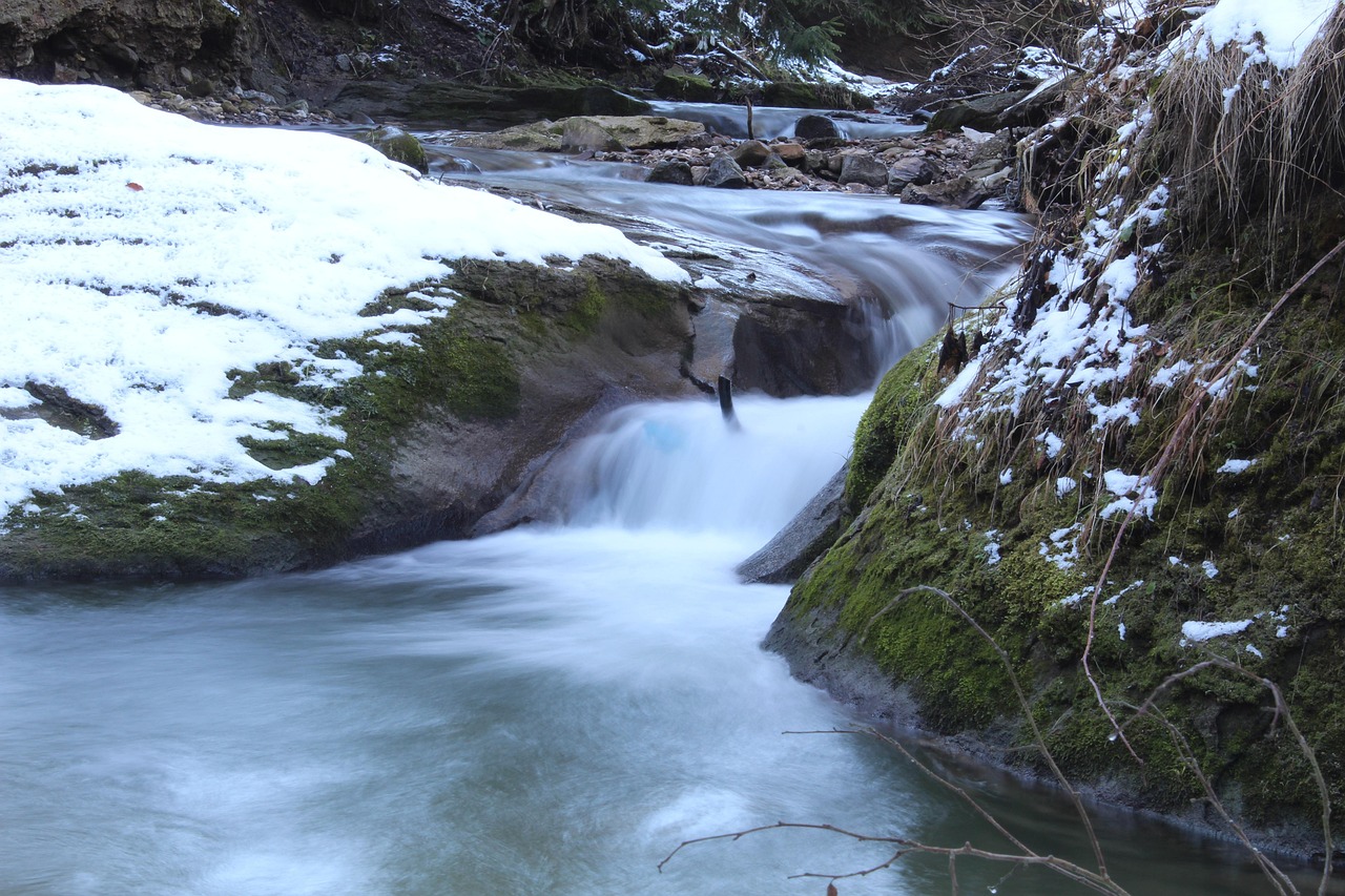 Water Stream Gallery Free Images : tree, nature, forest, waterfall ...