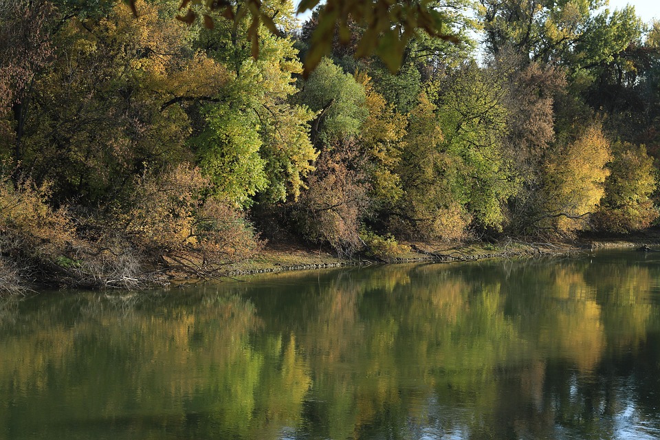 Nature Body Of Water River - Free photo on Pixabay