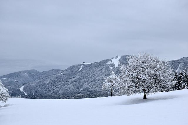 Neve Inverno Frio - Foto gratuita no Pixabay - Pixabay