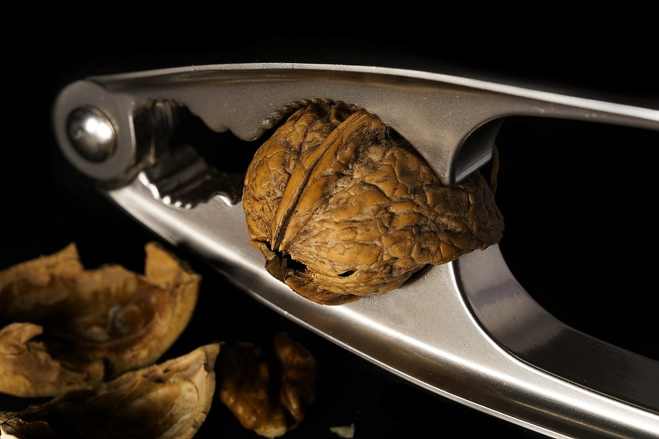 Food Walnut Tree Nut - Free photo on Pixabay