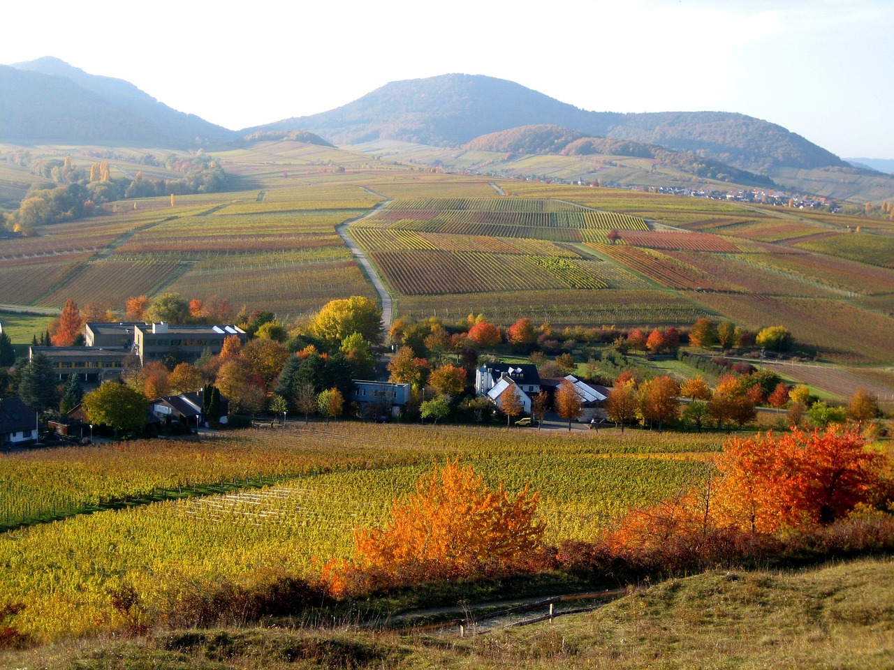 Paysage Colline La Nature - Photo gratuite sur Pixabay - Pixabay