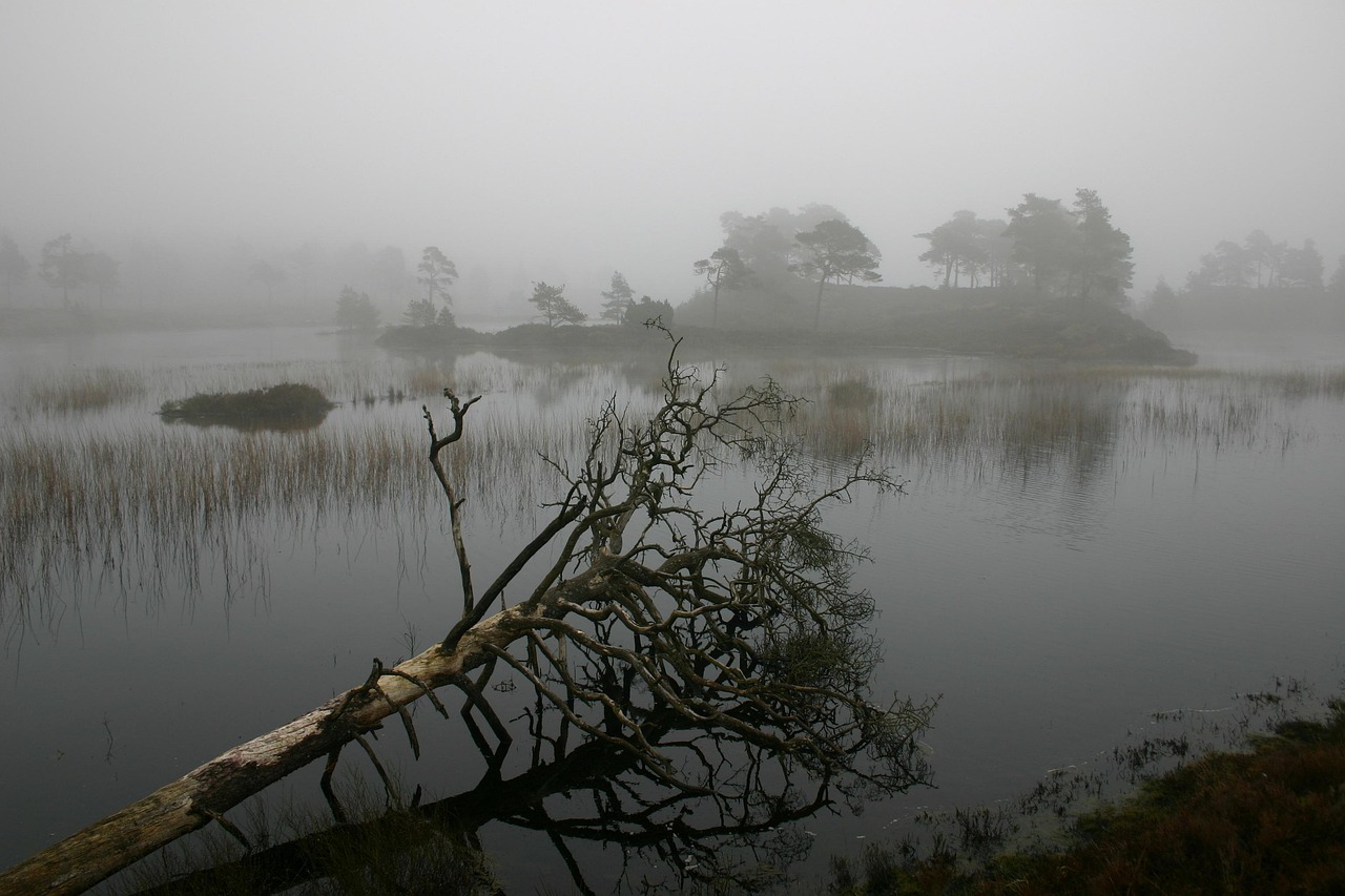 Body Of Water Fog Landscape No - Free photo on Pixabay - Pixabay