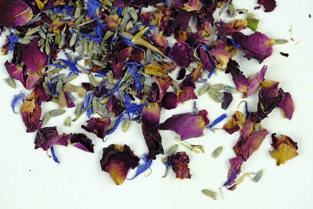 Spice Flores Pétalas - Foto gratuita no Pixabay - Pixabay
