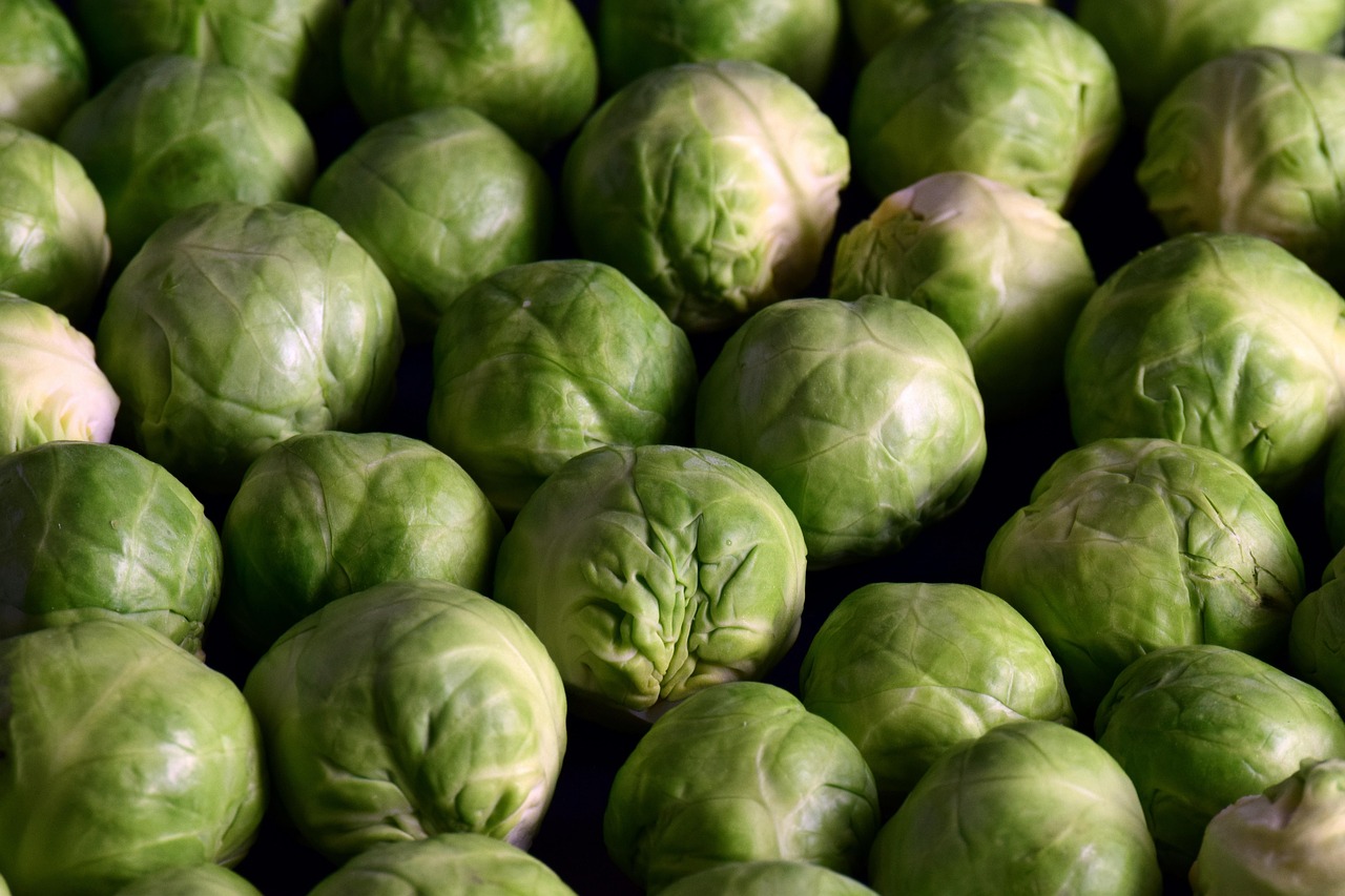 Brussels Sprouts Vegetables Green - Free photo on Pixabay - Pixabay