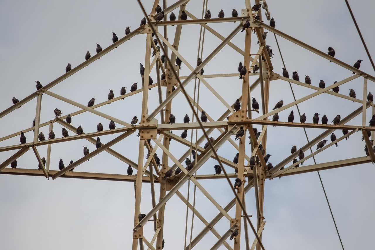 Pylon Sky Wire - Free photo on Pixabay