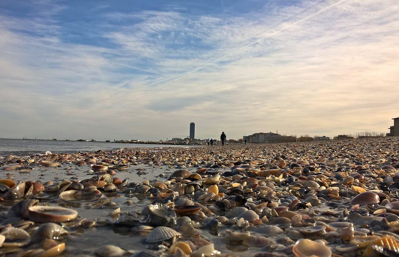 Praia Mar Beira - Foto gratuita no Pixabay - Pixabay