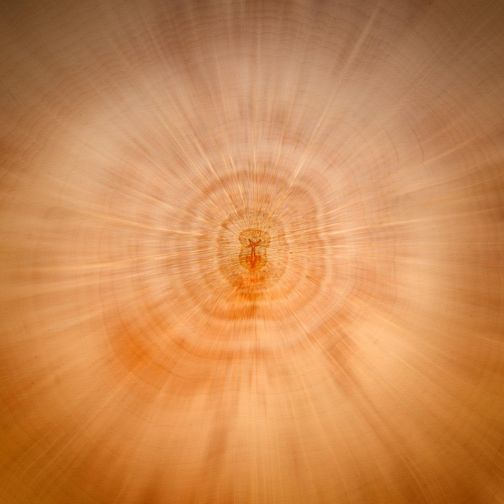 Explosion Zoom Wood - Free photo on Pixabay