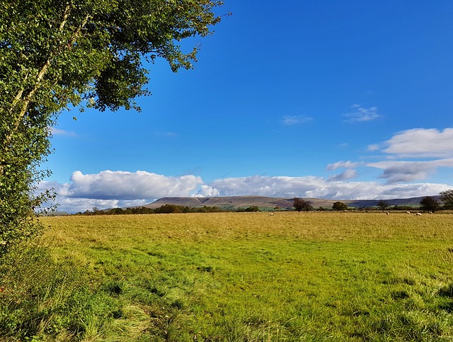 Nature Landscape Grass - Free photo on Pixabay