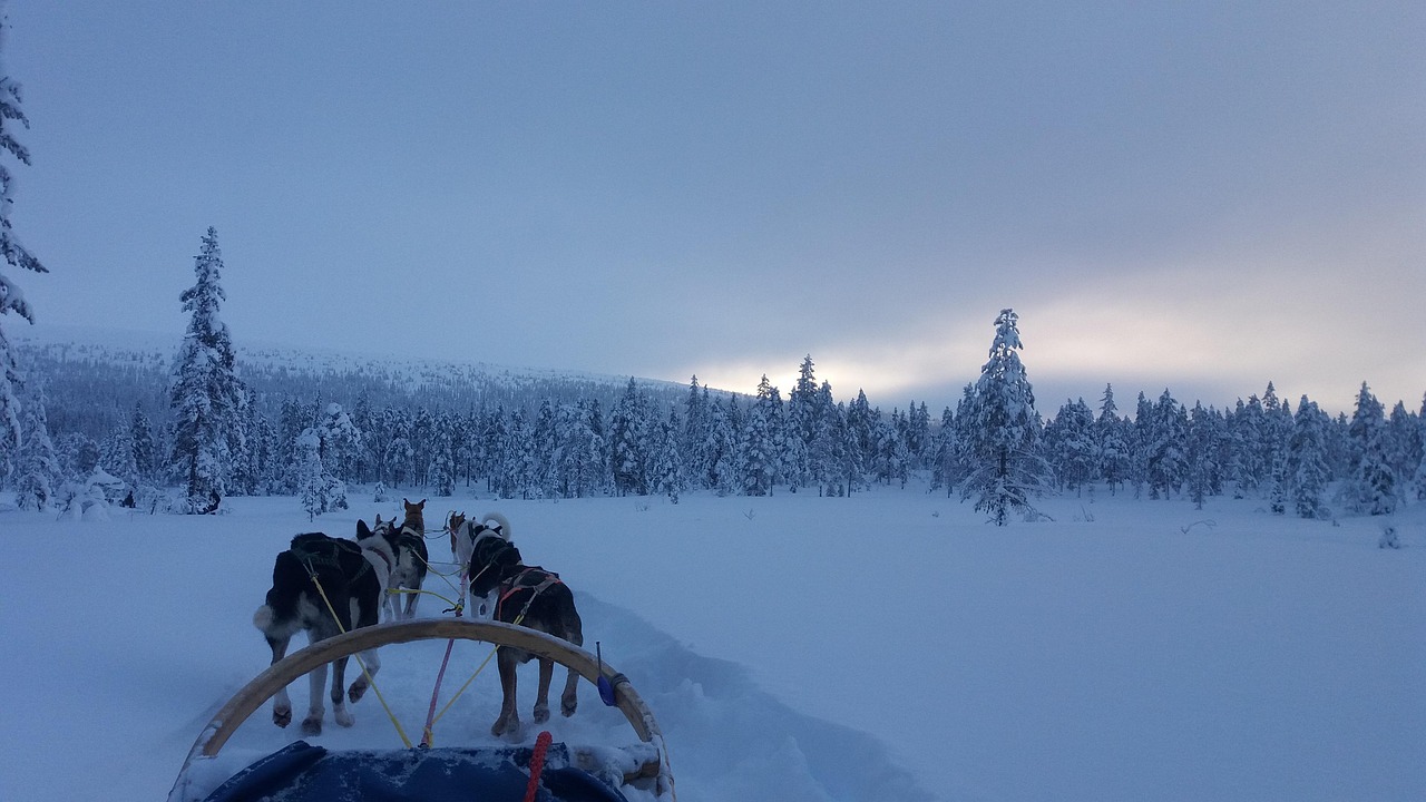 60,000+ Free Snow Sledding & Snow Photos - Pixabay