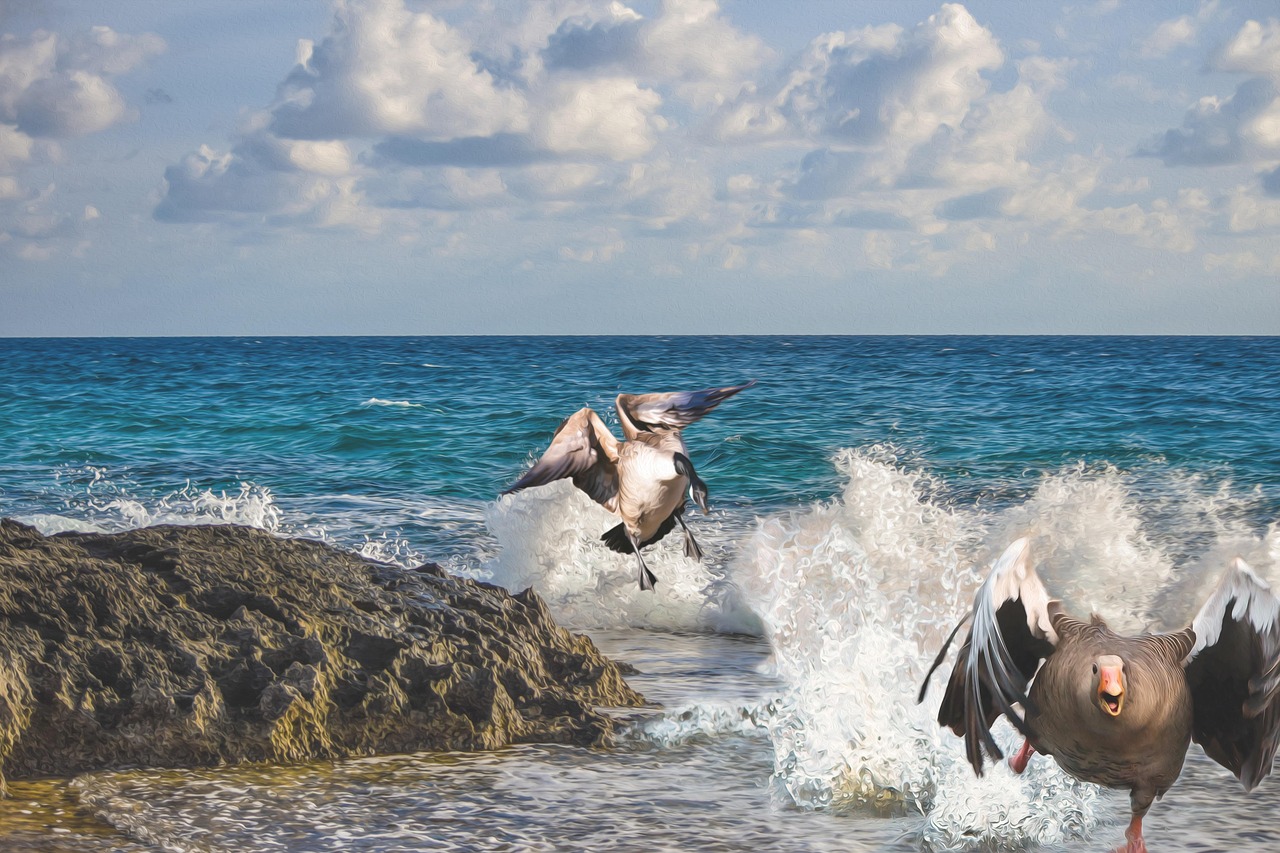 Pato Ganso Graciosos - Foto gratis en Pixabay - Pixabay