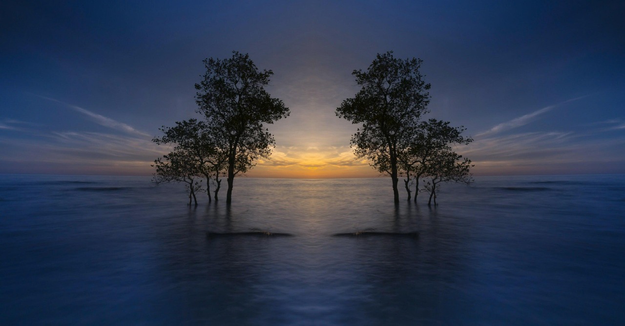 Paysage Océan Mer - Photo gratuite sur Pixabay