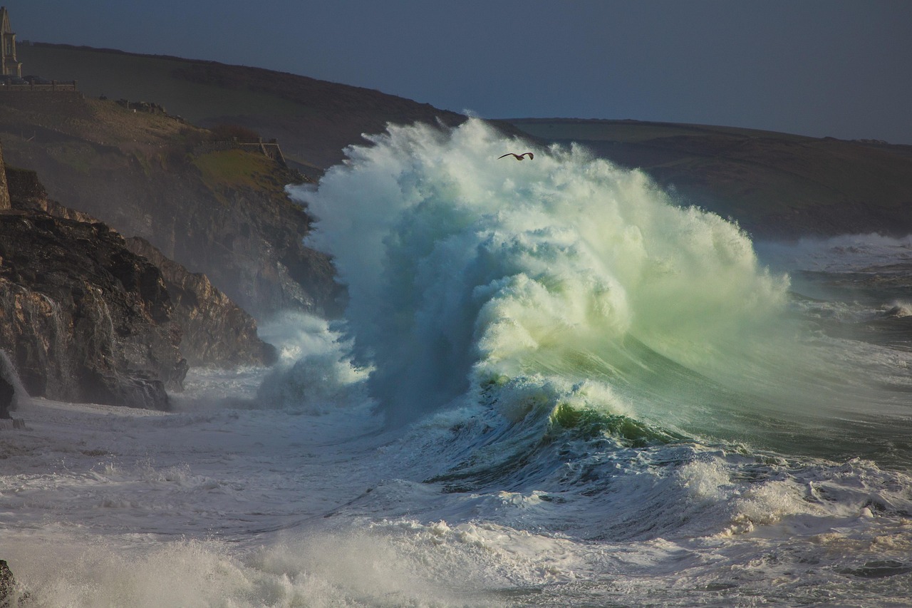 800+ Free Cornwall & Nature Images - Pixabay