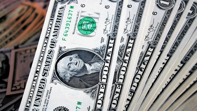 The Dollar They Business - Free photo on Pixabay
