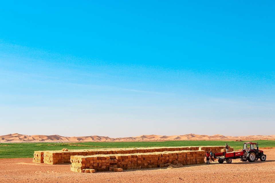 Outside Agro Industry Sky - Free photo on Pixabay