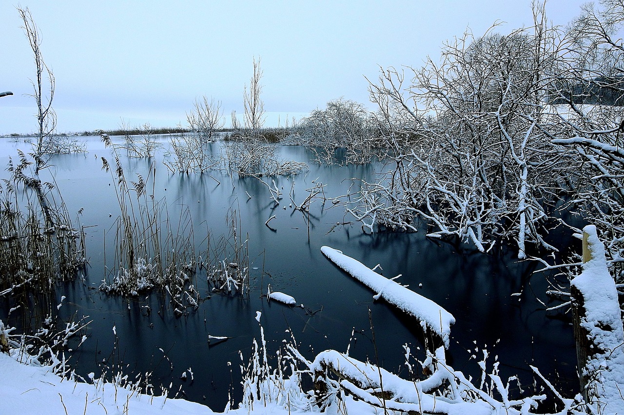 Inverno Neve Frost - Foto gratuita no Pixabay - Pixabay