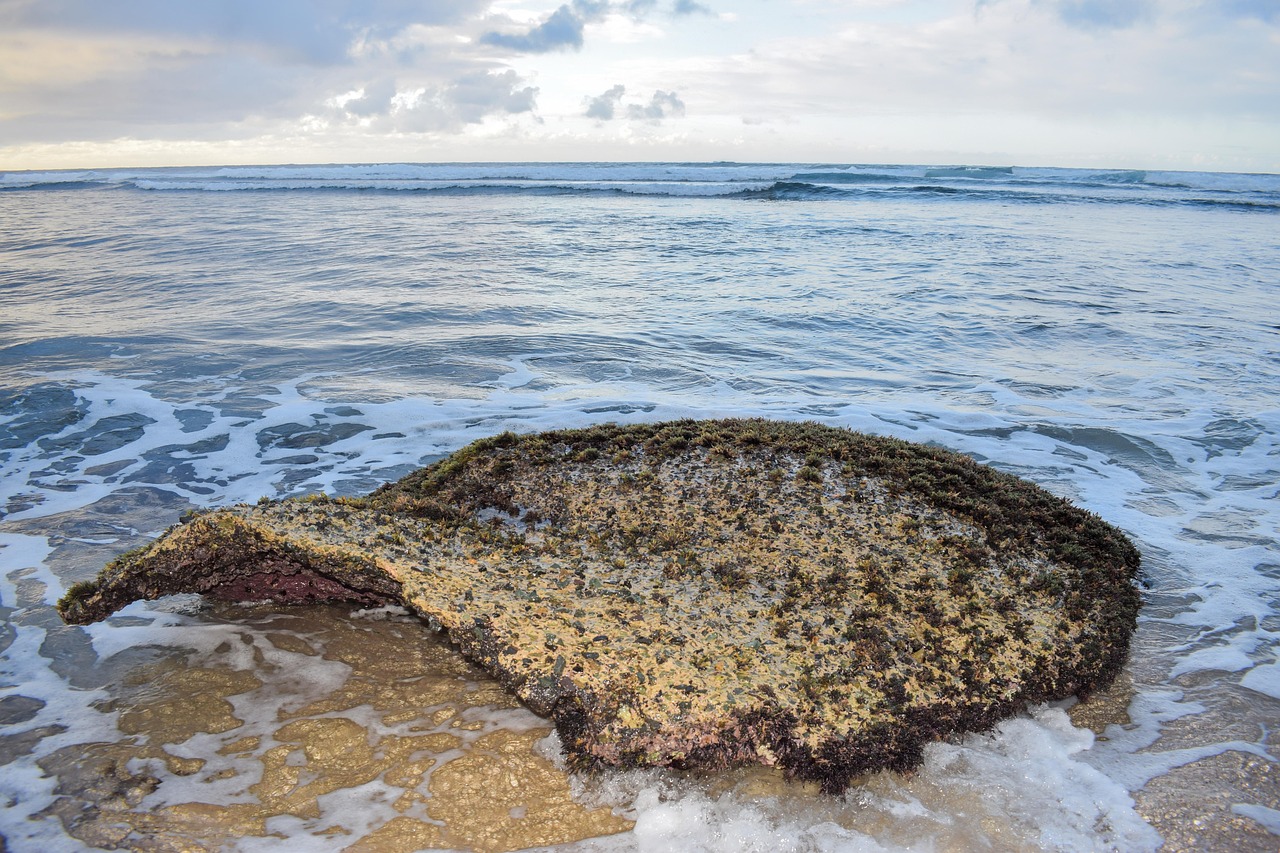Air Laut Alam Pantai - Foto gratis di Pixabay - Pixabay