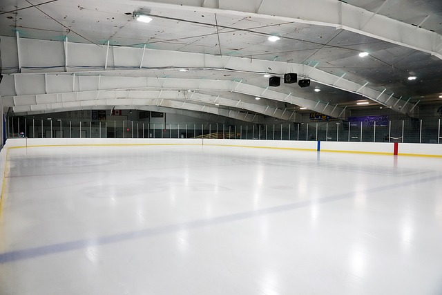 Plus de 200 images de Patinoire et de Hiver - Pixabay