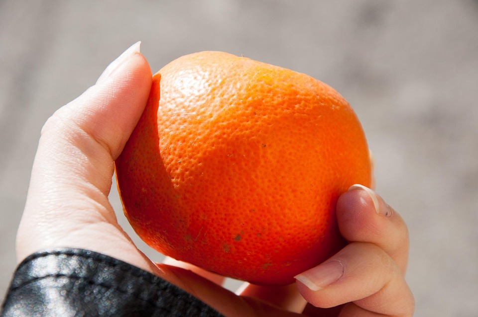 Fruit Food Healthy - Free photo on Pixabay