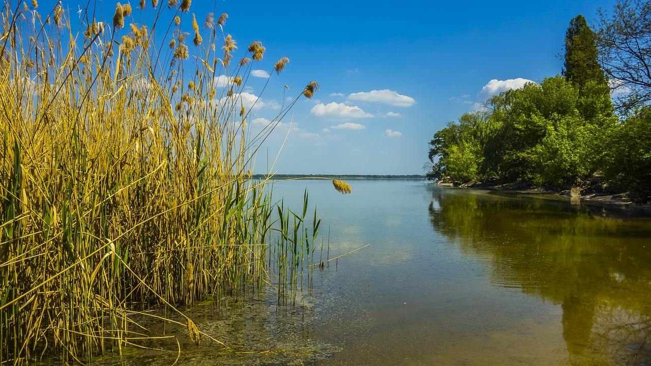 Water Nature Reflection - Free photo on Pixabay - Pixabay