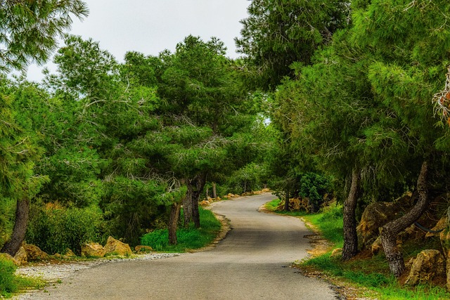 Road Countryside Nature - Free photo on Pixabay
