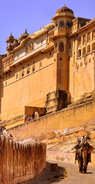 2,000+ Free Amber Fort & Amber Images - Pixabay