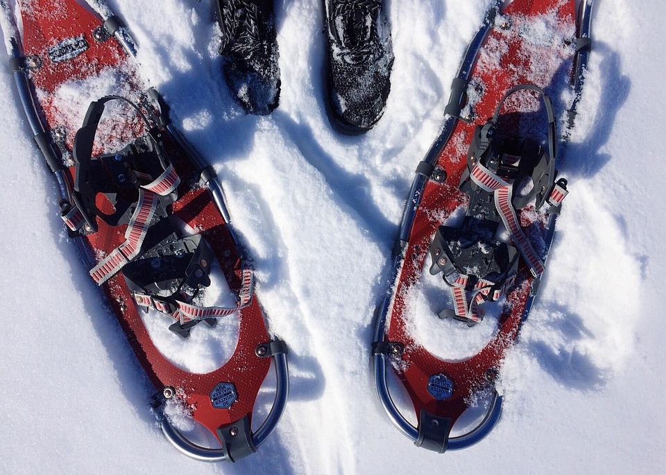 Snow Snowshoe Winter - Free photo on Pixabay