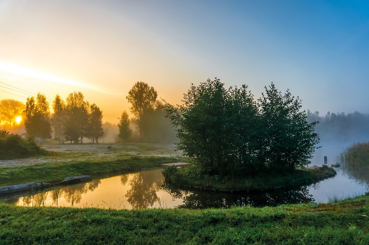 Nature Tree Dawn - Free photo on Pixabay