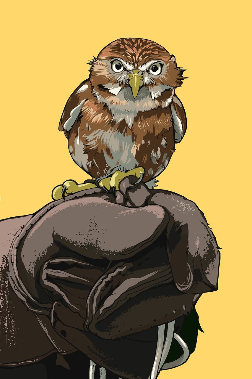 Download Owl Training Glove Royalty-Free Stock Illustration Image - Pixabay