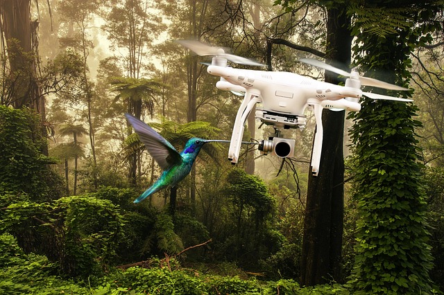 Drone Bird Flying - Free photo on Pixabay - Pixabay