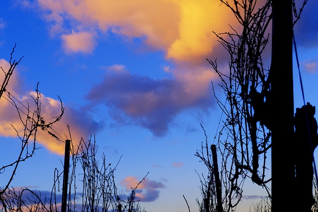 Surga Awan Suasana Hati Matahari - Foto gratis di Pixabay - Pixabay