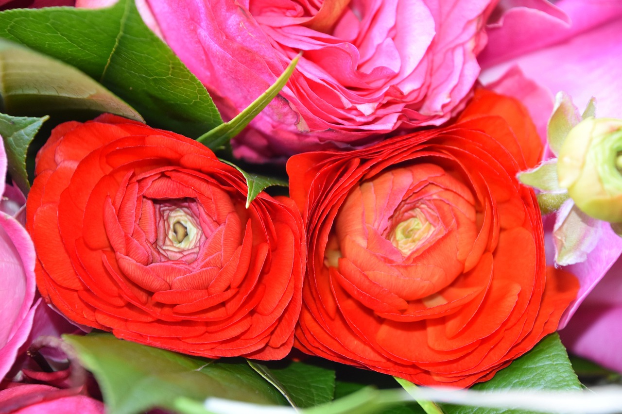 Fleur Bouquet De Fleurs Pétale - Photo gratuite sur Pixabay - Pixabay