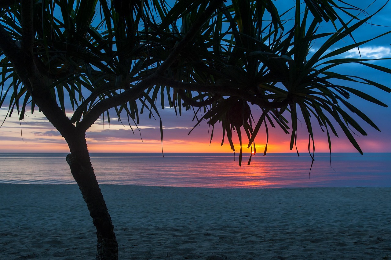 Árvore Praia Agua Beira - Foto gratuita no Pixabay - Pixabay