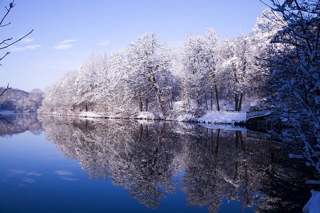 Inverno Neve Natureza - Foto gratuita no Pixabay