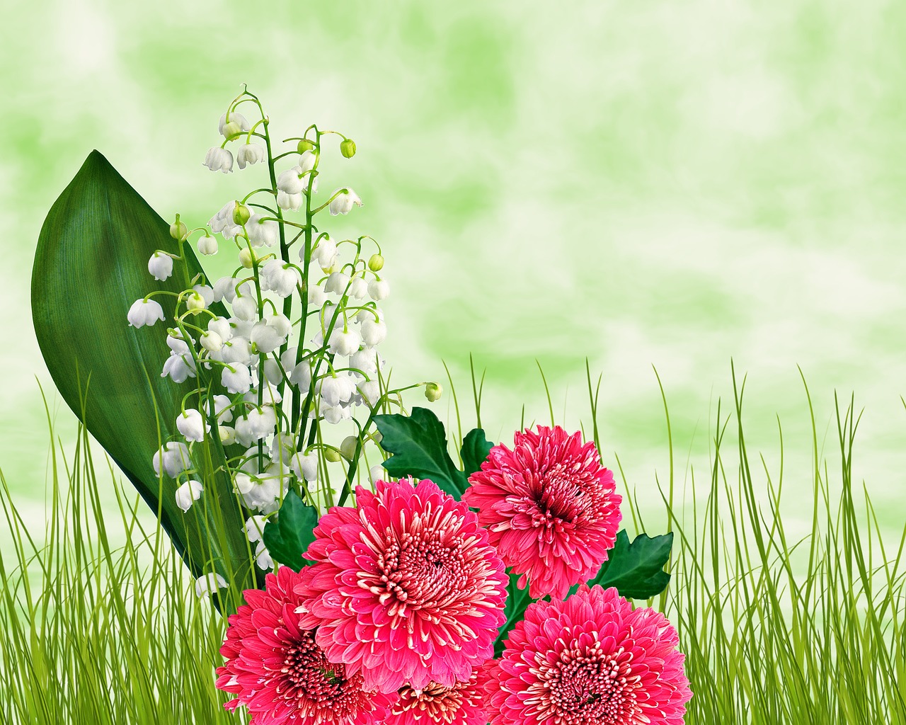 Blumen Natur Liebling Open - Kostenloses Foto auf Pixabay - Pixabay