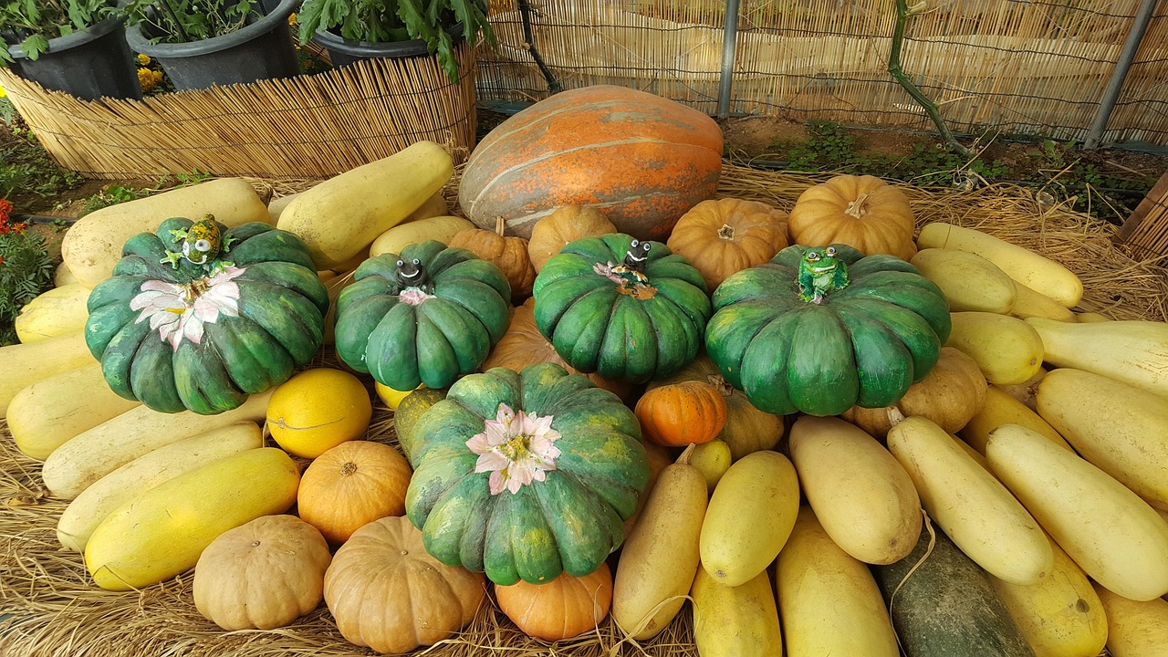 Citrouille Automne Pâturage - Photo gratuite sur Pixabay