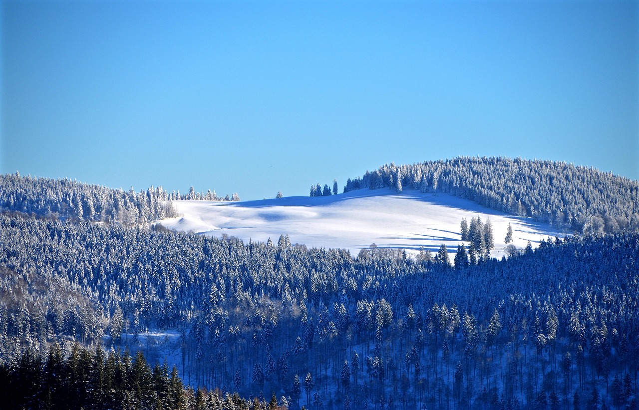 Hutan Hitam Lereng Ski Musim - Foto gratis di Pixabay - Pixabay