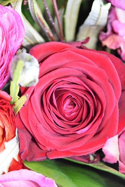 Fleur Rosier Floral Bouquet De - Photo gratuite sur Pixabay - Pixabay