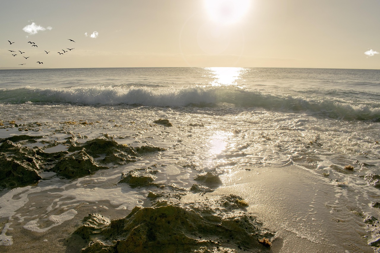 Mar Agua Costa - Foto gratis en Pixabay - Pixabay