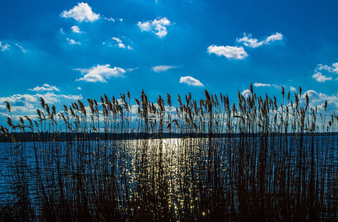 Body Of Water Heaven Nature - Free photo on Pixabay - Pixabay