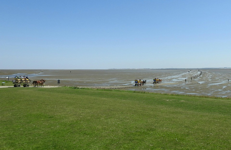 Horse Drawn Carriage Watt Island - Free photo on Pixabay